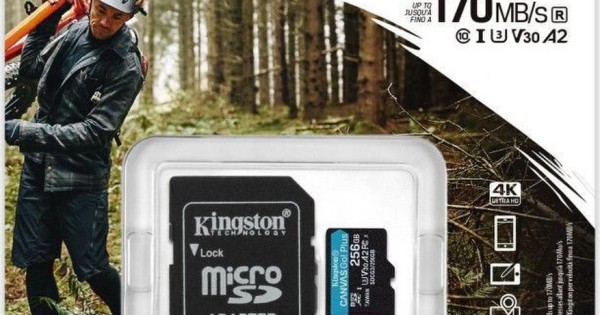 KINGSTON 256GB microSD 170R